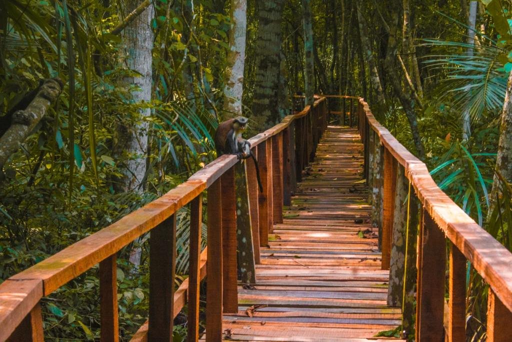 What Are The Things To Do In Nigeria - PuppyX Viral